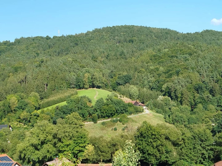Kleiner Berghof - Allemagne