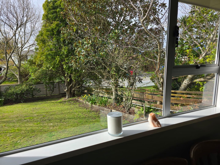 Chilling At Chums - Paraparaumu