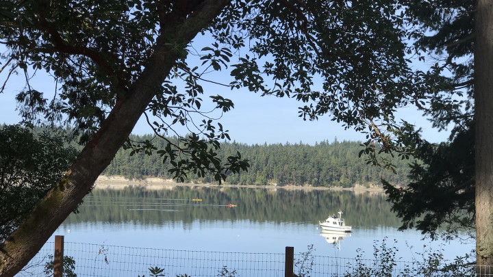 Marrowstone Waterfront Cottage - Port Townsend, WA