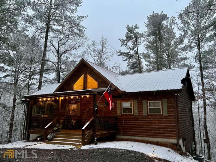 Hollow Tree Hideaway - - Ellijay, GA