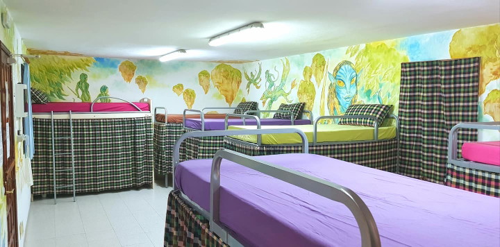 Hostel Mixed 12 Bed Dormitory - Tenerife
