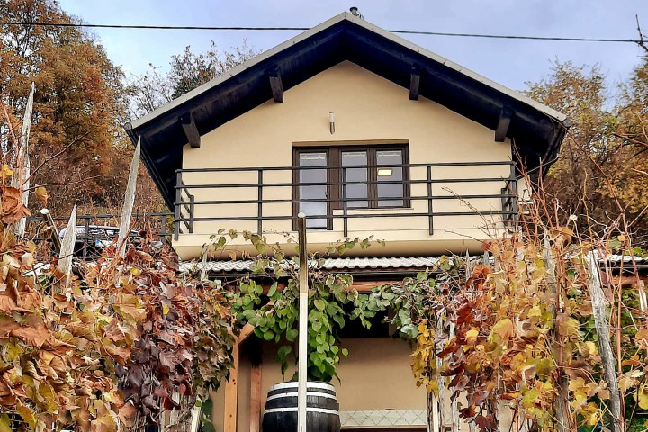 Vineyard Cottage Kulovec - Slovenia