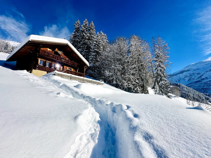 Chalet Typique - Les Diablerets