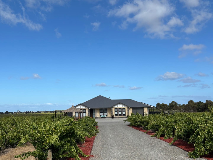 Doms Block. Serenity Amongst The Vines. - McLaren Vale