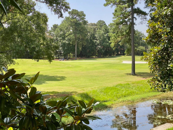 Waterfront Guesthouse | Heart Of The Woodlands - The Woodlands, TX