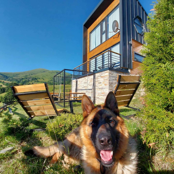 Wild Nest Zlatibor Bear - Zlatibor
