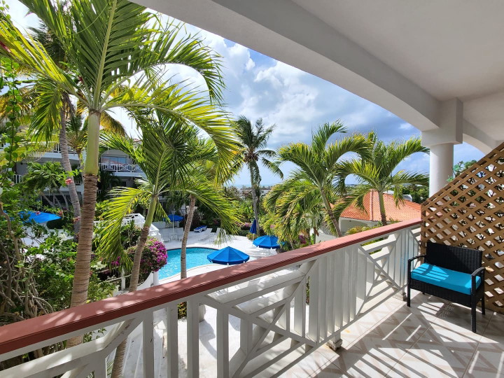 Queen Angel Condo With Pool And Ocean View - Turks and Caicos Islands