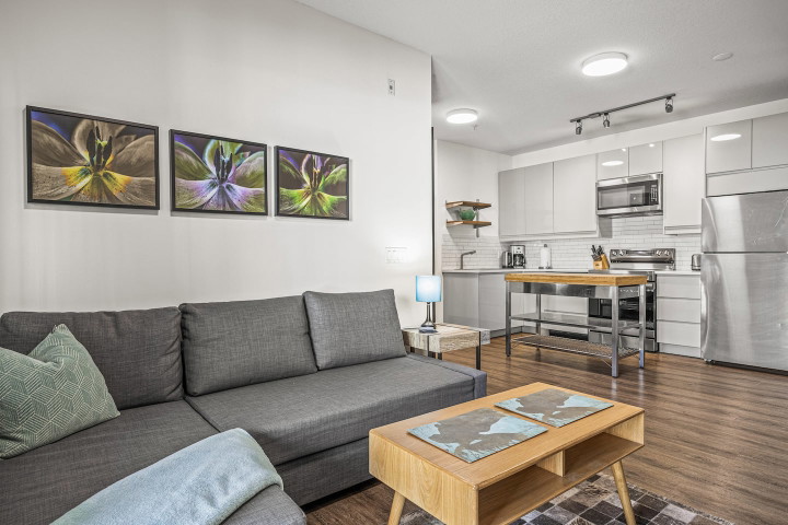 Fully Renovated & Modern, 2 Bed 2 Bath, Sleeps 6 - Canmore