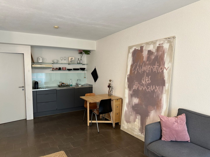 Studio Unique Dans La Vieille Ville De Bienne - Bienne