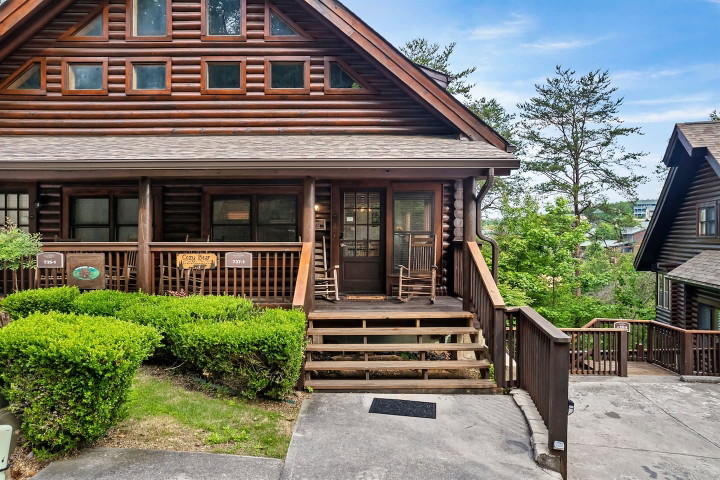 2mils Dollywood Resort Cabin | Hot Tub | Bbq |King - Pigeon Forge, TN