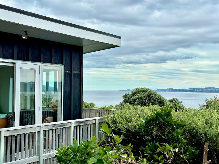 Tree House Over Wellington Harbour - New Zealand