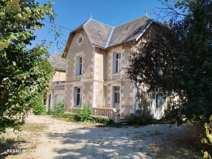 Les Studios Grenouilles - Poitiers