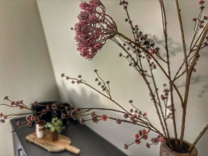 Comfort Suite "T Stil" - Roermond