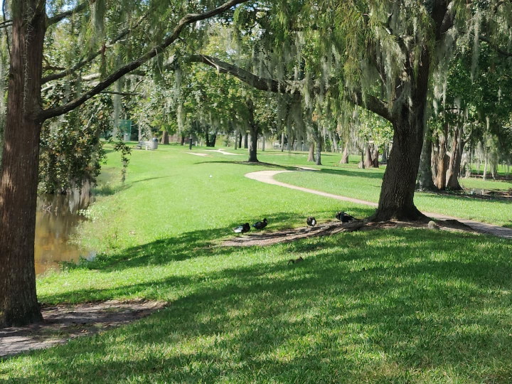 ¡Vive Con Privacidad Y Tranquilidad! Studio Grande - Winter Park, FL