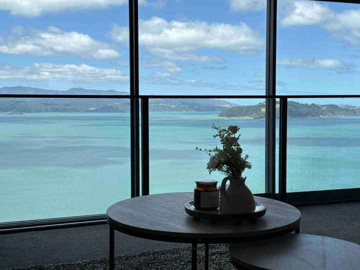 Striking Seaviews - Wellington