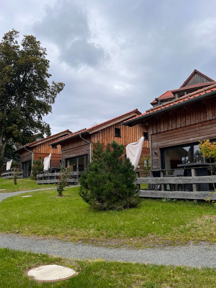 Holiday Home No. 1 Cecilienpark Oberharz With Sauna - Goslar