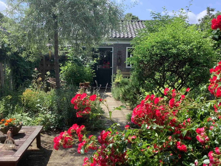 Lovely Tiny House With Garden - Ede