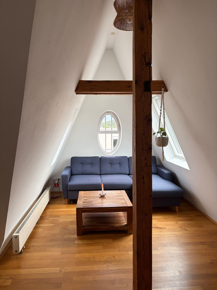 Charmante Dachgeschosswohnung - Saarbrücken