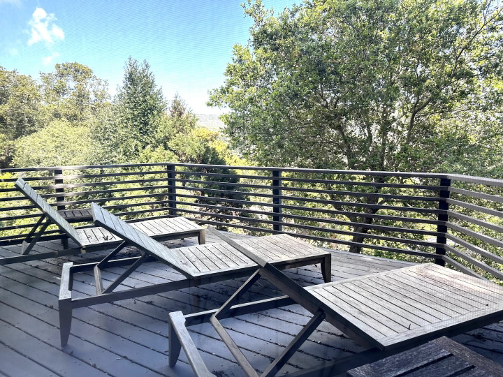 Spacious & Bright Marin County Apartment - San Anselmo, CA