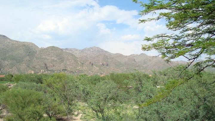 Ventana Golf And Catalina Mountain Views Highlight - Mount Lemmon, AZ