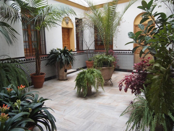 Traditional Cordovan Apartment - Córdoba