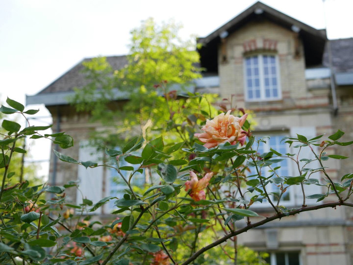Le Moulin Aux Oiseaux - Marne