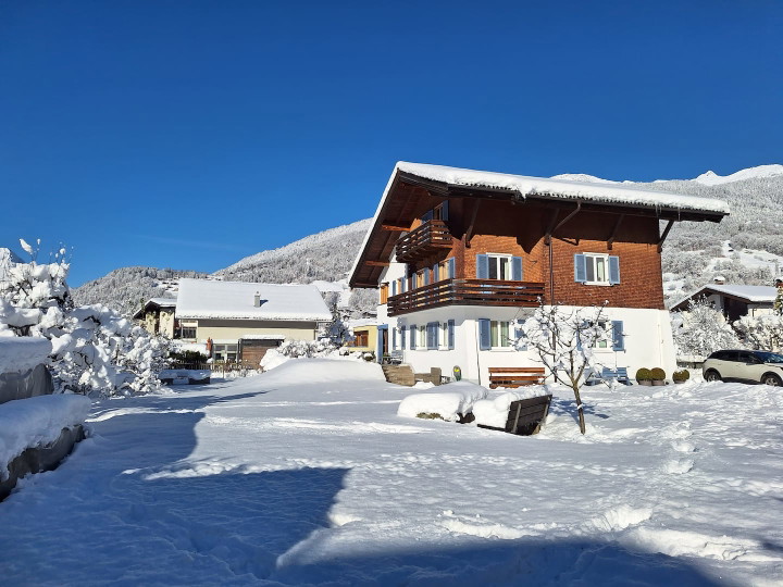Ellis Apartment - Schruns