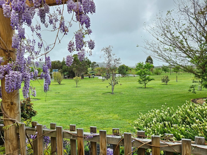 Lovely 3 Bedroom Cottage On A 15acre Property - Albany