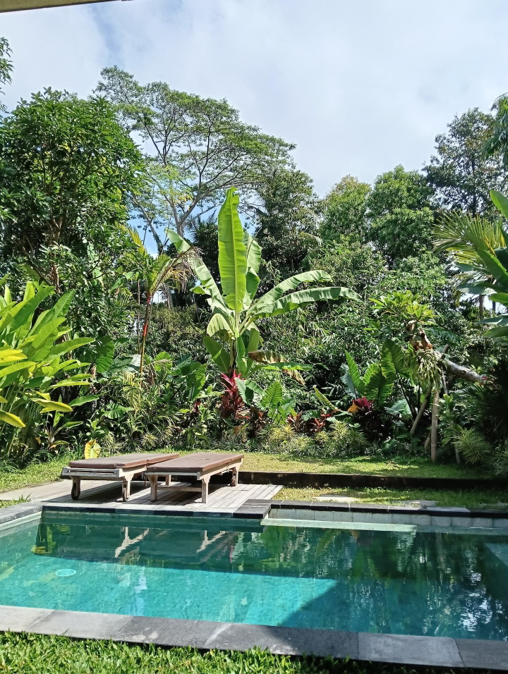 Private Pool Villa With Jungle And River View - Bali