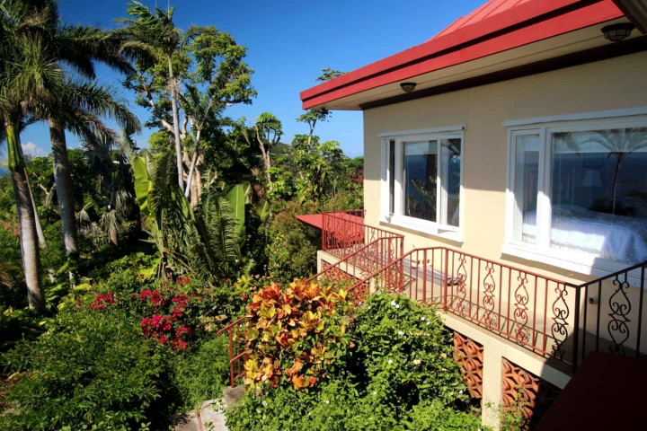 Viette Tropical Paradise - Saint Thomas