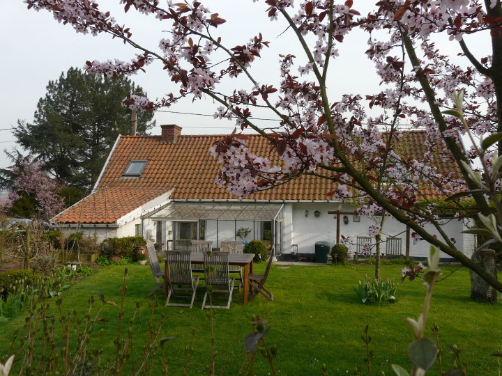 Charming Cottage - Flemish Ardennes - Ronse
