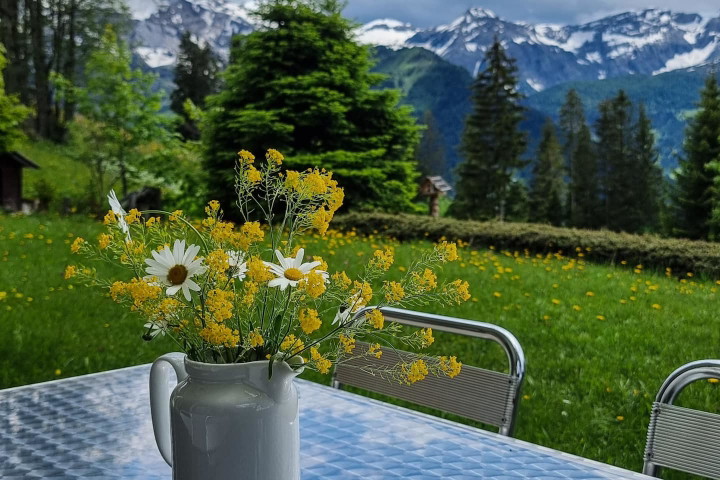 Wohnung Am Bühlberg - Lenk im Simmental