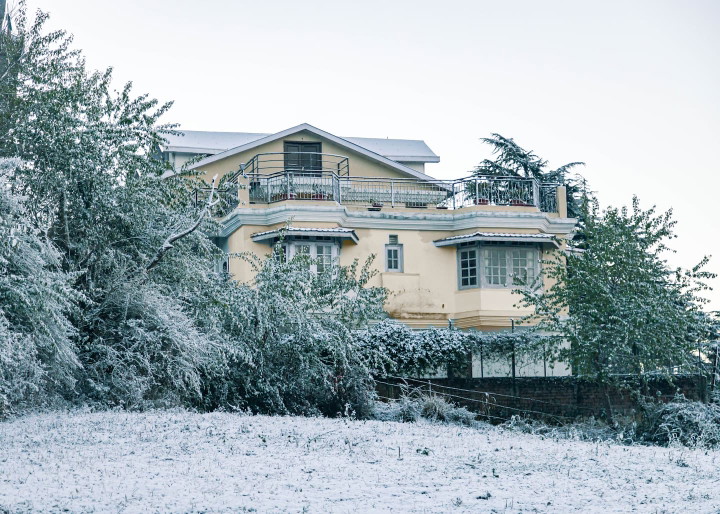 Pine Tree Villa Cozy & Luxury 2bhk Home In Shimla - Shimla