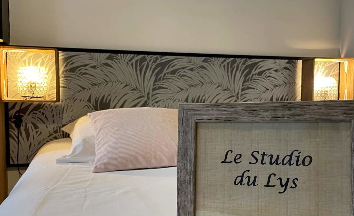 "Le Lys" Studio 20m2 - Saint-Aignan-sur-Cher