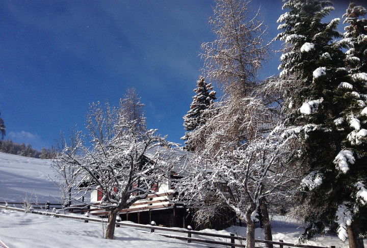 Chalet Typique En Bord De Piste Sauze_alpes Du Sud - La Foux d'Allos