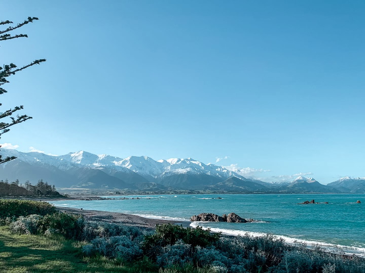 Idyllic Beachfront Stay ᐧ Bayview 170 | Apt. One - Kaikoura