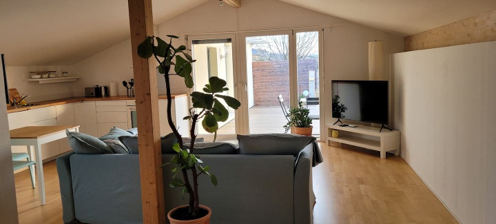 Lovely Apartment Overlooking Lake Murten And The Alps - Murten