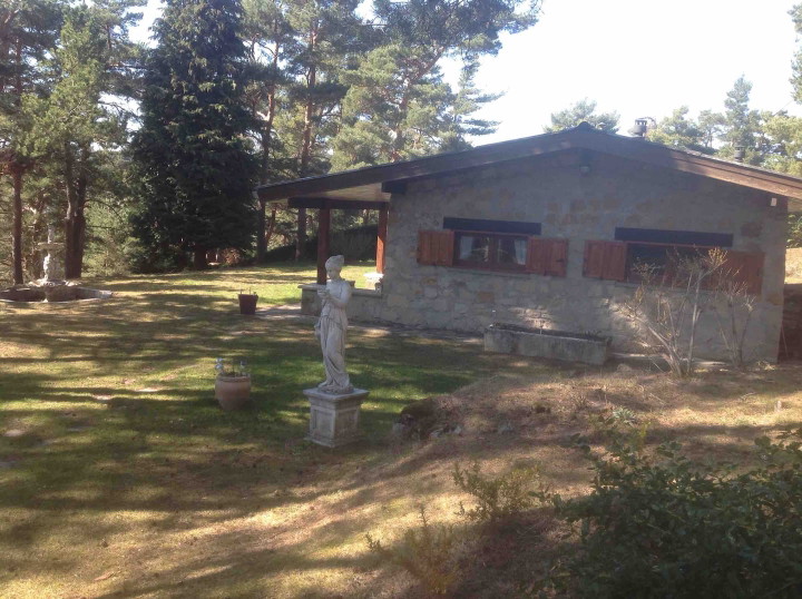 Small Warm Refuge Amid Pines. - France