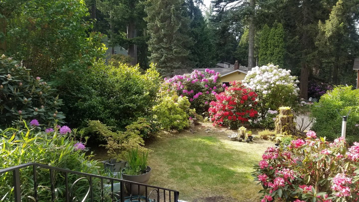 Near 3 Golf Courses (Including Chambers Bay). - Tacoma, WA