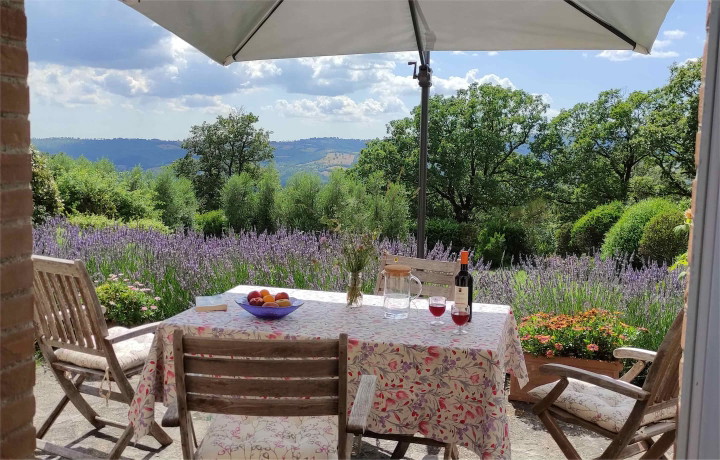 Encantadora Casa De Campo Toscana Con Un Hermoso Jardín Y Excelentes Vistas - Toscana