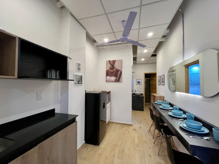 Carranza Polanco 15 Apartment - San Luis Potosí