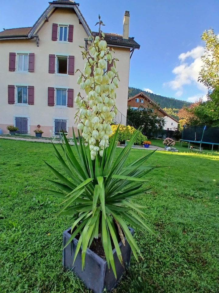 Studio Chezzie - Neuchâtel