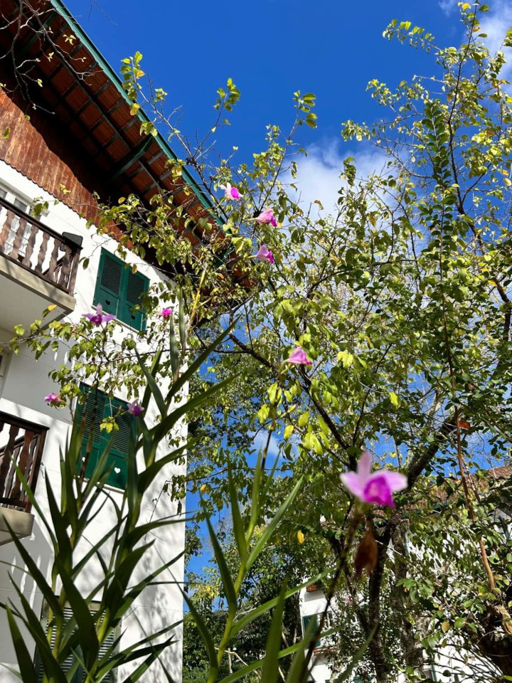 Refúgio Aconchegante E Acolhedor, Nova Friburgo-rj - Nova Friburgo