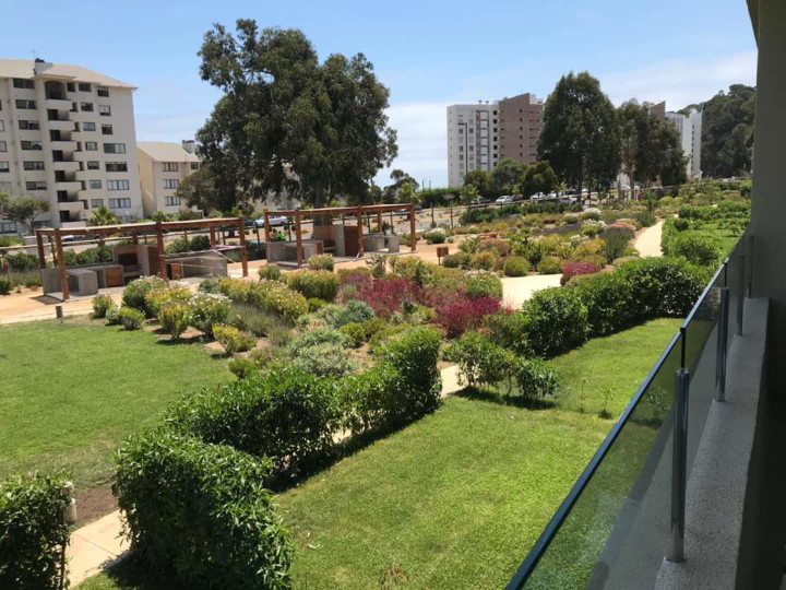 Departamento En La Mejor Ubicación De Papudo - Papudo