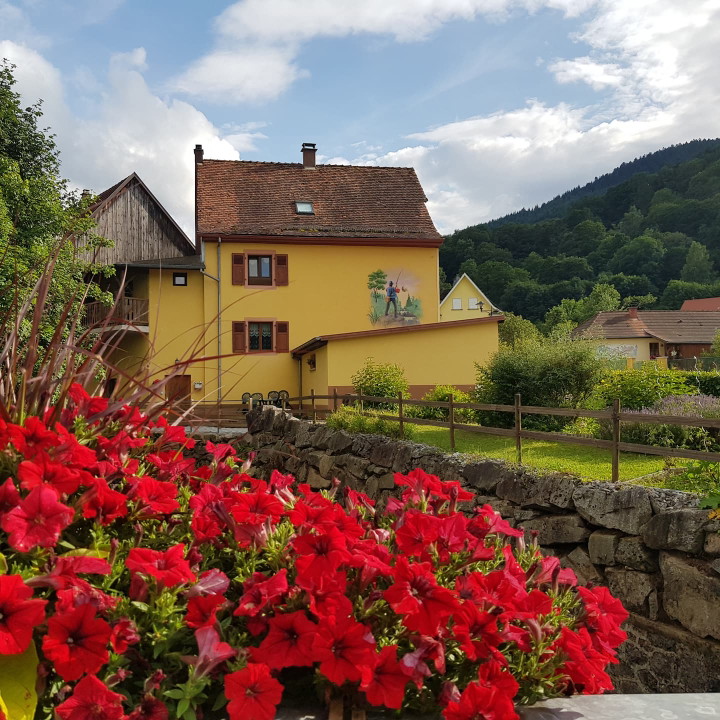 Gite De La Fecht 3* - Chez Claude Et Aurore - Metzeral