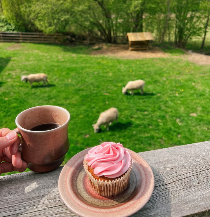 Peaceful Oasis With Farm Animals On Nøtterøy - Norwegia