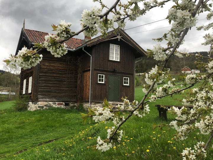 Bienvenue à Telemarksidyll à Son Meilleur! - Norvège