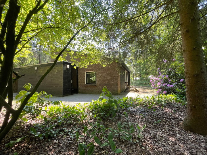 Modern Holiday Home, Vechtdal, Forest - Ommen