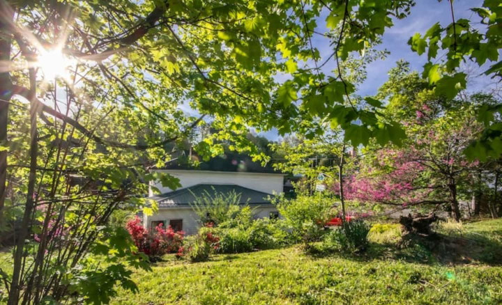 Perfect Basecamp! 3b/3bath Historic Downtown - West Virginia