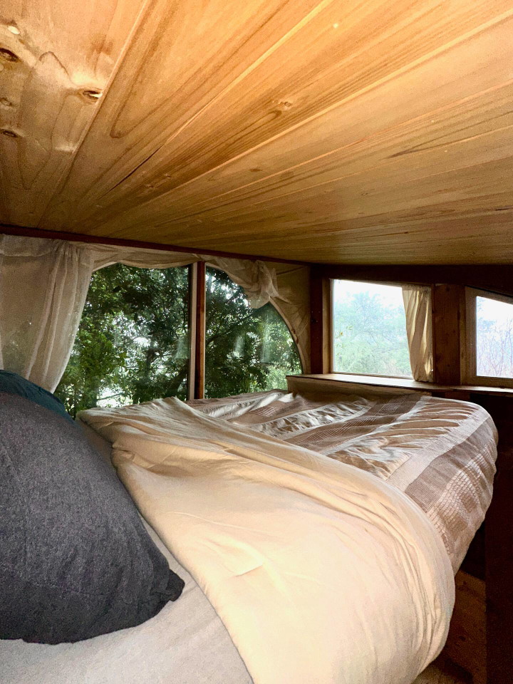 Tree House Sanctuary - Bodega Bay, CA
